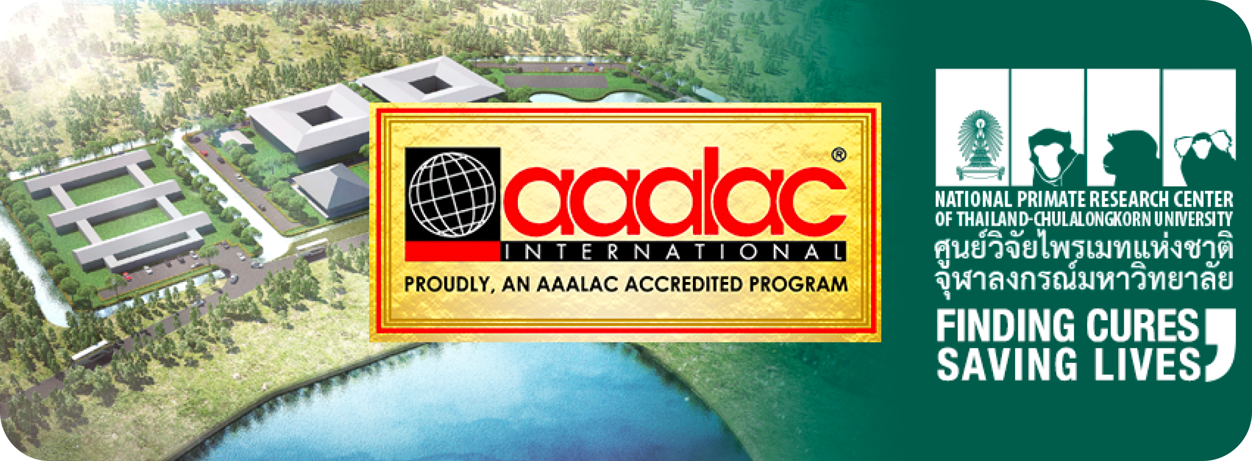 ศูนย์วิจัยไพรเมทแห่งชาติจุฬาฯ ได้รับการรับรองมาตรฐานสากล (Full ...